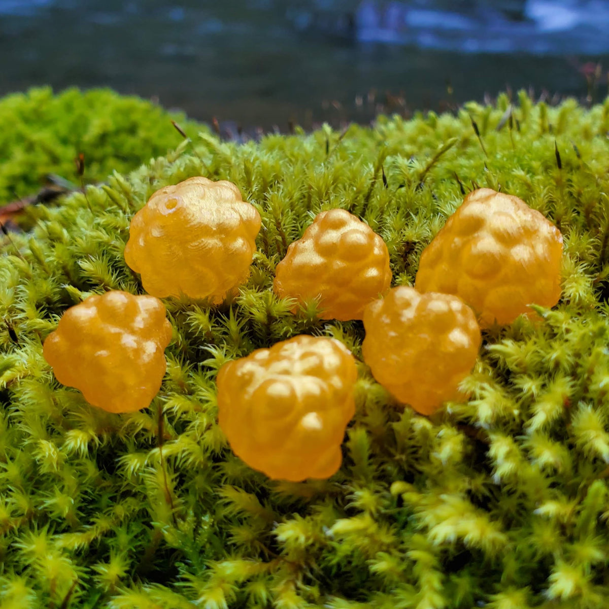 Okie Drifter - Gold Strike – Robolize