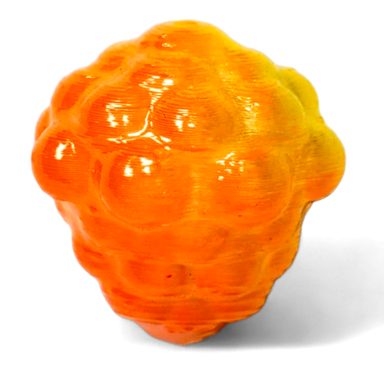 Okie Drifter - The Fish Rizzler – Robolize