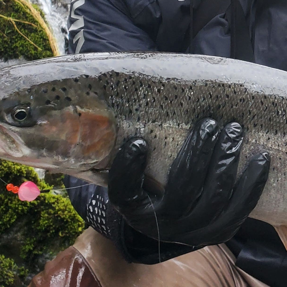 Spin-Roe – Robolize