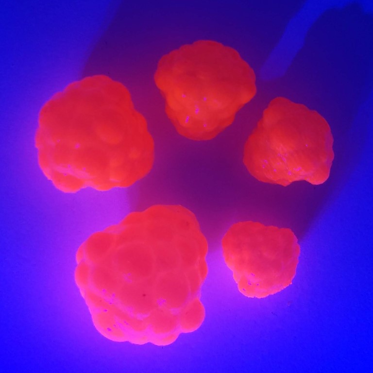 Robolize - Salmon, trout, steelhead, beads, okie, collapsible net