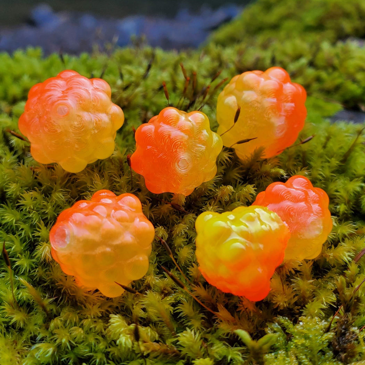 Okie Drifter - The Fish Rizzler – Robolize